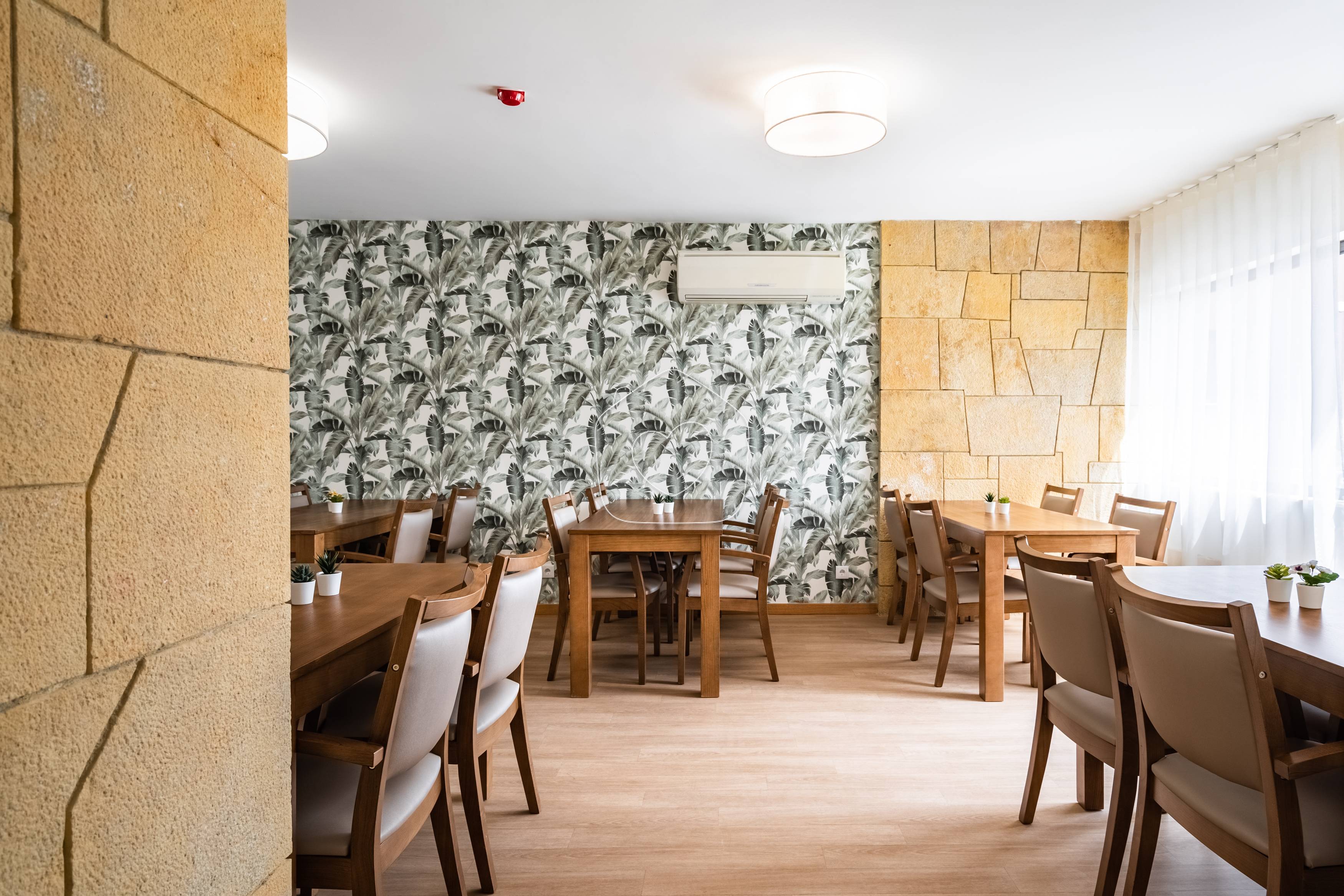 Domus Plátano Residência Sénior | Amadora